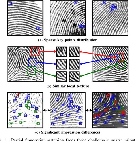 Joint Estimation Of Identity Verification And Relative Pose For Partial Fingerprints Paper And Code