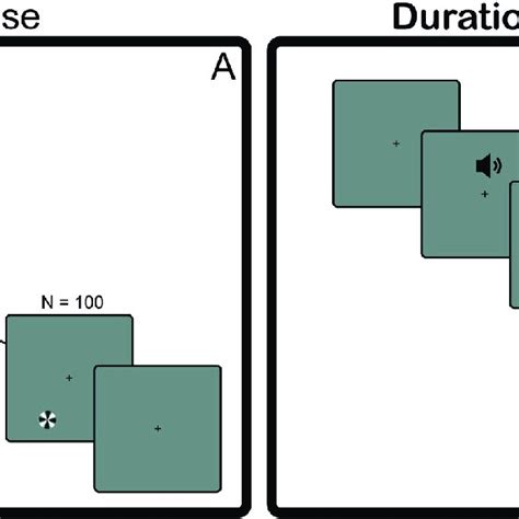 An Overview Of The Experimental Procedure For The Adaptation