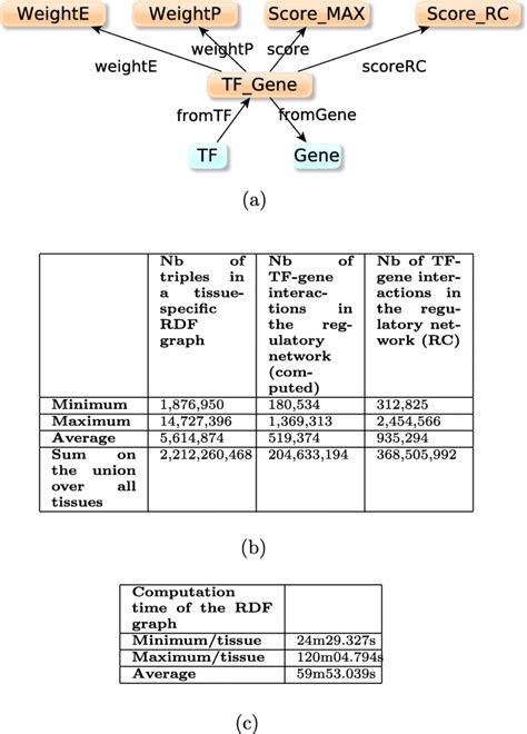 A RDF Model For Each Tissue Specific Graph Boxes Represent Classes Of Download Scientific