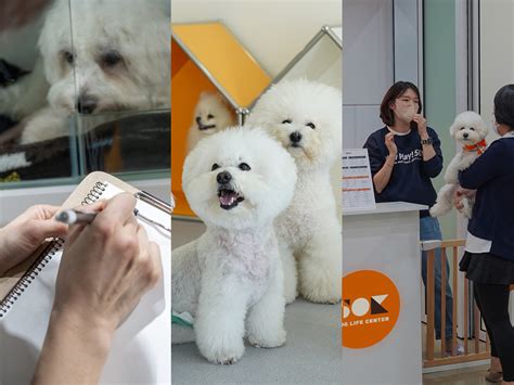 미용 클래스 베스트 10 Class101 세상의 모든 클래스