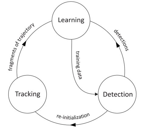 The Block Diagram Of Tld Framework 1 Download Scientific Diagram