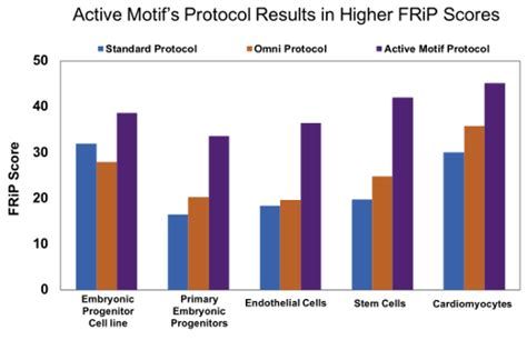 ATAC Seq Services End To End Open Chromatin Analysis Service