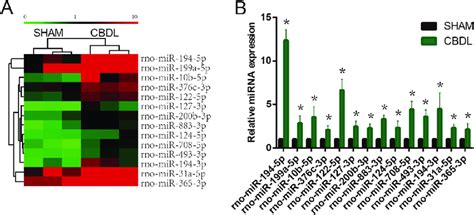 Microarray Analysis Reveals Differentially Expressed Mirnas In Ses Or