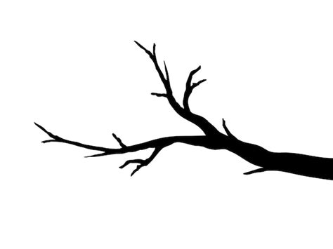 Tree Branch Silhouette Vector Tree Branch With Leaves Svg Cut File