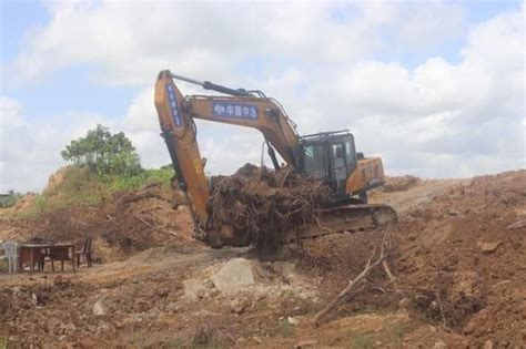 පඬු කරඳ ගස ගොඩගනියි Lanka Truth සිංහල Latest And Breaking News From Sri Lanka