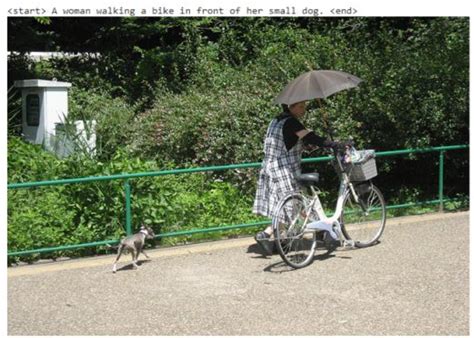 Figure 1 From Analysis Of Knowledge Distillation On Image Captioning