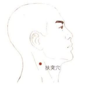 喉结的准确位置图片 不正常的喉结图片 喉结在哪个位置图片 大山谷图库