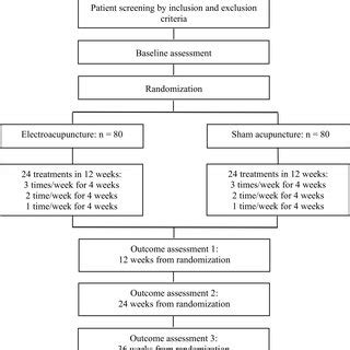 Flow Chart Of Participating Patients In The Study POP Pelvic Organ Download Scientific