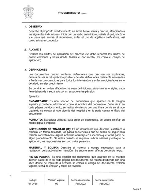 Plantilla Para Documentar Procedimientos Pdf