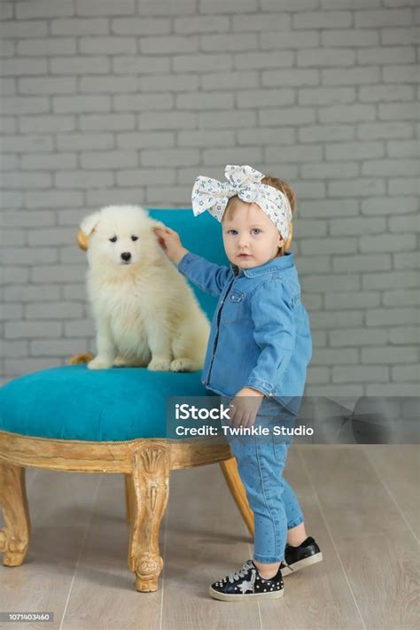 금발 아가 놀고 쉰 양 귀 비의 초상화 금발 머리에 청바지를 입고 복고 로얄 블루의 자에 앉아있는 동안 새 미 하얀 강아지와 함께 스튜디오 촬영에서 포즈 모델 소녀 가정