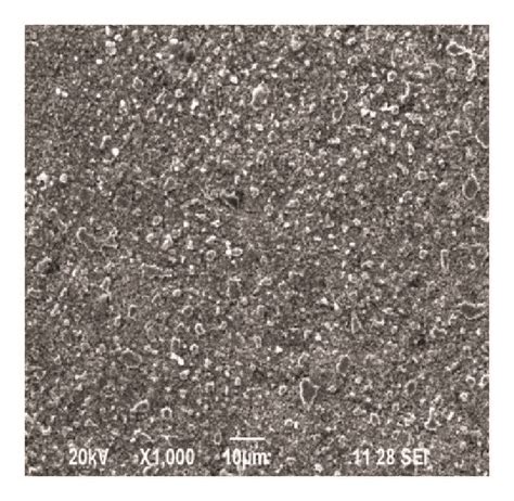 A Sem Image Of Brass Before Immersion Polished B Sem Image Of