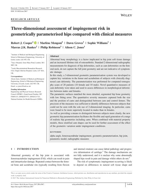 Three‐dimensional Assessment Of Impingement Risk In Geometrically