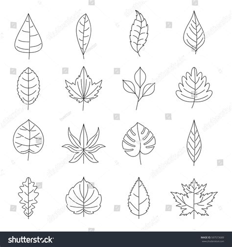 Plant Leafs Icons Set Outline Illustration Stock Illustration 597573689 Shutterstock