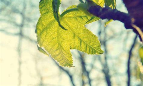 The Rise Of Single Page Applications Spas In Web Development — Association Of Registered Web