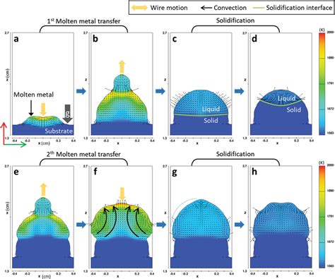 Temperature Profiles And The Velocity Fields From Transient Cfd Download Scientific Diagram