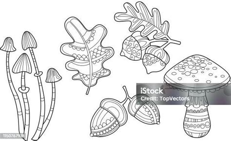 손으로 그린 식물 단색 잎 버섯 헤이즐넛 및 도토리 벡터 일러스트 레이 션의 컬렉션 0명에 대한 스톡 벡터 아트 및 기타 이미지 0명 나무 디자인 Istock