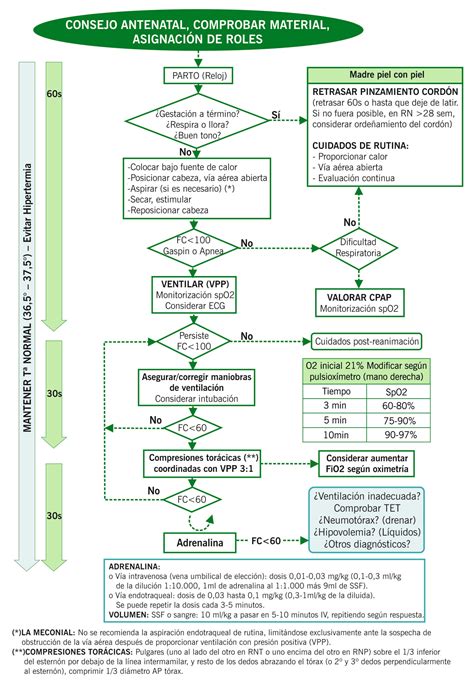 Reanimación Cardiopulmonar Neonatal Manuales Clínicos
