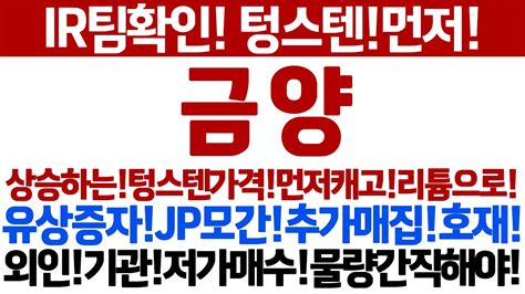 금양ir팀확인텅스텐먼저캐고리튬으로유상증자jp모간더사고adr추가발행호재다매수기회다놓치지말자 Youtube