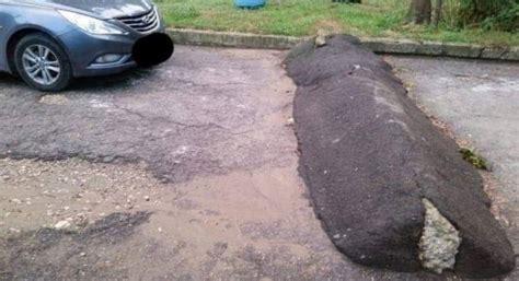 Аялгуу цэцэгт мэндчилгээ онлайн хүргэлт ОЛОН УЛСЫН ХУРД СААРУУЛАГЧ Олон улсын трансит тээвэр