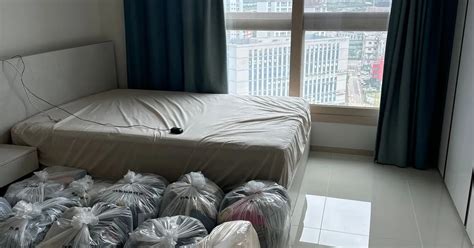 독립하는 이사인데 진짜 친절하고 꼼꼼하게 준비해주셨어요 아주 만족스러웠습니다ㅎㅎㅎㅎ 다음이사할때도 꼭이용할게요 숨고 숨은고수