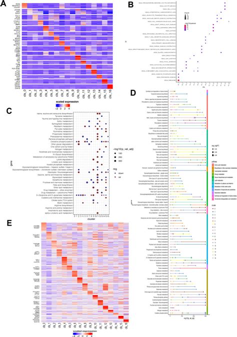 High Resolution Subtyping Of Fibroblasts In Gastric Cancer Reveals Diversity Among Fibroblast