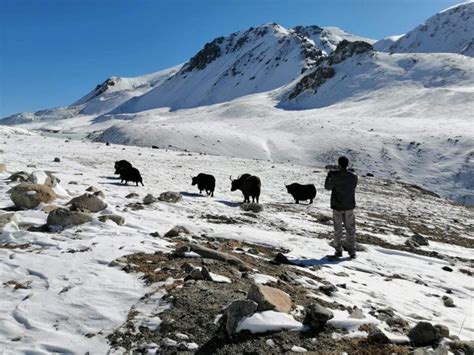 Engr Irfan Ullah On Linkedin Winterseason Pakistantourism