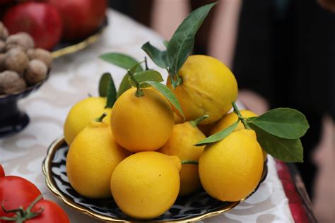 감귤류 감귤류과 감귤류의 레몬 건강한 계절 과일 과일 사진 과즙이 많은 구겨진 천 그물 그물 가방 노란색 노란색 메쉬 노화 방지제 농작물 다발