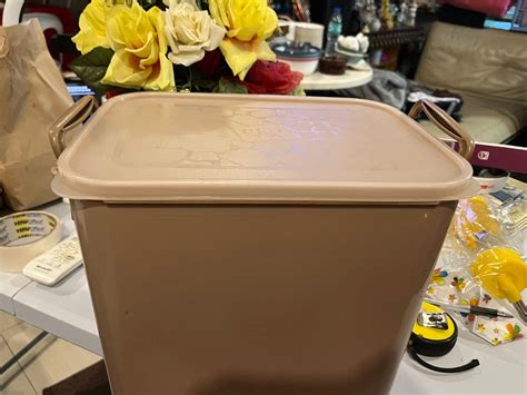 Elda Tiza Rodriguez Pat