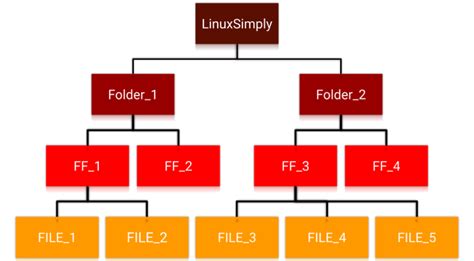 The Pwd Command In Linux Practical Examples Linuxsimply