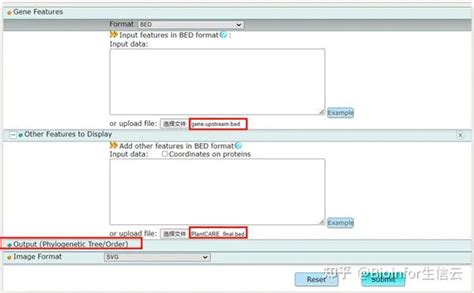 基因家族分析（6）顺式作用元件预测 知乎