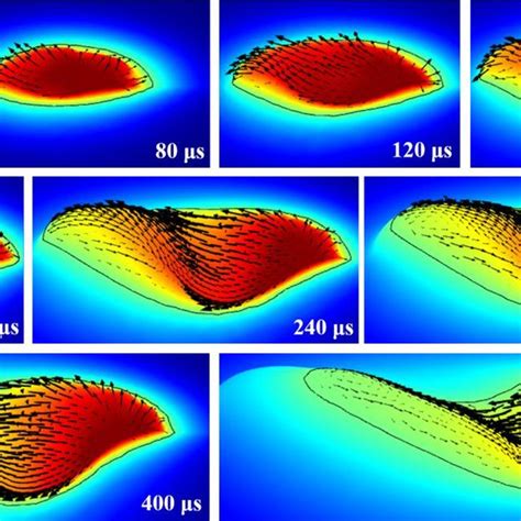 The Anatomic Image Of The Evolution Of The Molten Pool Cut At C C Download Scientific Diagram