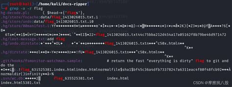 Ctfhub 信息泄露 Svn泄露和hg泄露ctfhubsvn泄露 Csdn博客 Ctfhub 信息泄露 Svn泄露和hg泄露ctfhubsvn泄露 Csdn博客