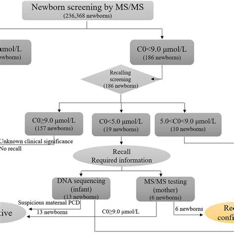 Flow Diagram For PCD Screening And Follow Up Download Scientific Diagram