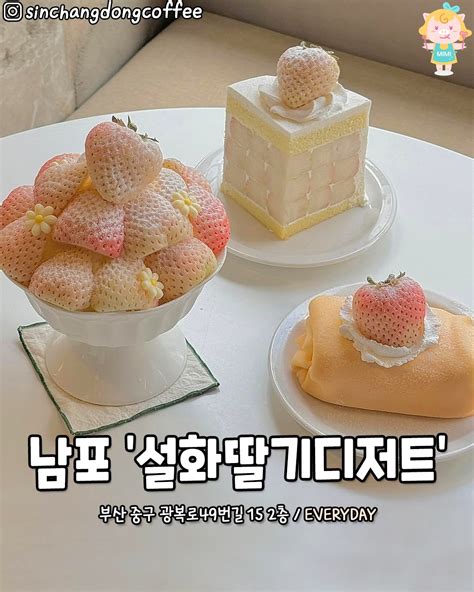 부산핫플 부산맛집 부산카페 부산여행 부산 남포에 흰색 딸기 설화디저트가 떴다🍓🤍 내가 알던 빨간 딸기가 아니잖아👀 베이비 핑크빛 도는 귀욤뽀짝한 색감의 하얀