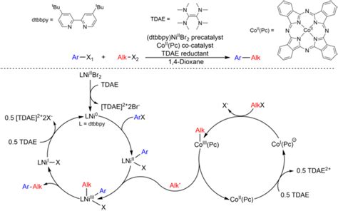 Ni Catalyzed Cross Electrophile Coupling Hazari Group