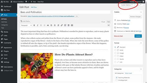 Wordpress Comments Edtech Np