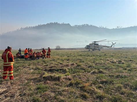 Ой хээрийн түймэр өнгөрсөн оны мөн үеэс 56 хувиар өсжээ