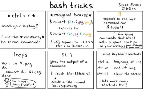 On The Bash Command Line How Can I Delete All Letters Before The