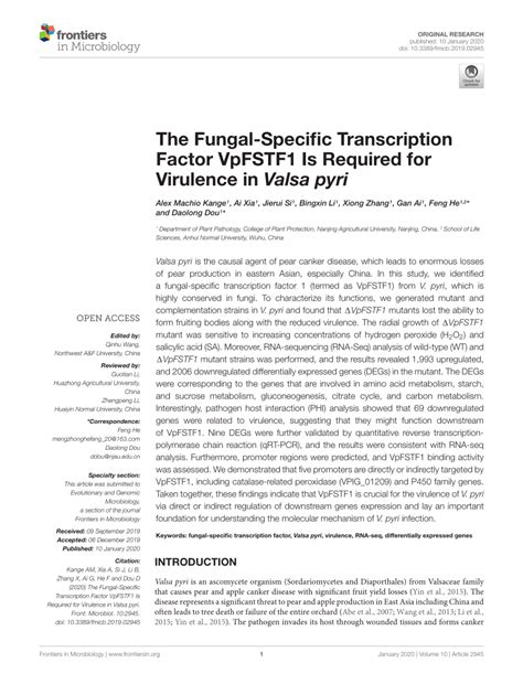 Pdf The Fungal Specific Transcription Factor Vpfstf1 Is Required For Virulence In Valsa Pyri