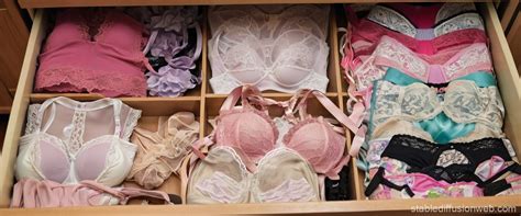 Drawer Of Lingerie Stable Diffusion Online