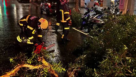瑪娃遠離北台灣間歇大雨！ 基隆風雨大、北市路樹倒