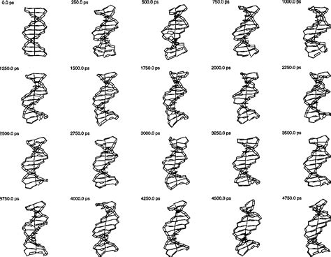 Figure 1 From A 5 Nanosecond Molecular Dynamics Trajectory For B Dna Analysis Of Structure