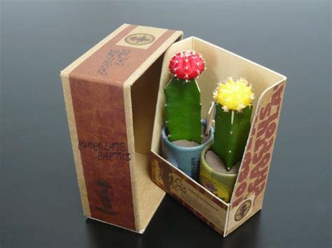 경기도농업기술원 도원에서 초콜릿 캑터스 카멜레온 캑터스 등의 이름을 붙인 친환경 종이화분과 포장재 3종을 개발하고 산업