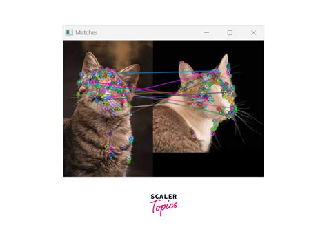 Image Features In Image Processing Scaler Topics