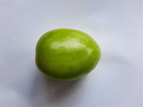 Tomato Ripeness Object Detection Model V1 2023 01 26 1 20am By Putri Mawaring Wening