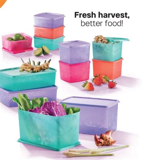 Tupperware Containers Furniture And Home Living Kitchenware And Tableware Food Organisation