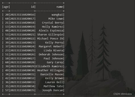 Spark Sql编程初级实践 Csdn博客