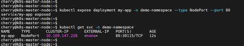 How To Install Kubernetes On Ubuntu 2404 Step By Step Cherry Servers