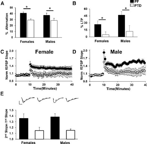 Independent Of Sex Thiamine Deficiency Led To Impaired Spontaneous Download Scientific Diagram