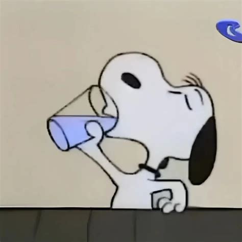 Pawl Mc Snoopy On Tumblr